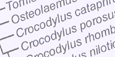 Crocodilian Species List: Crocodiles, Caimans, Alligators, Gharials